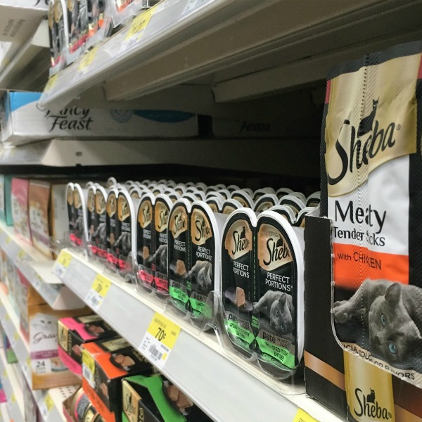 Adventure Cat Tips | Life Tastes Good