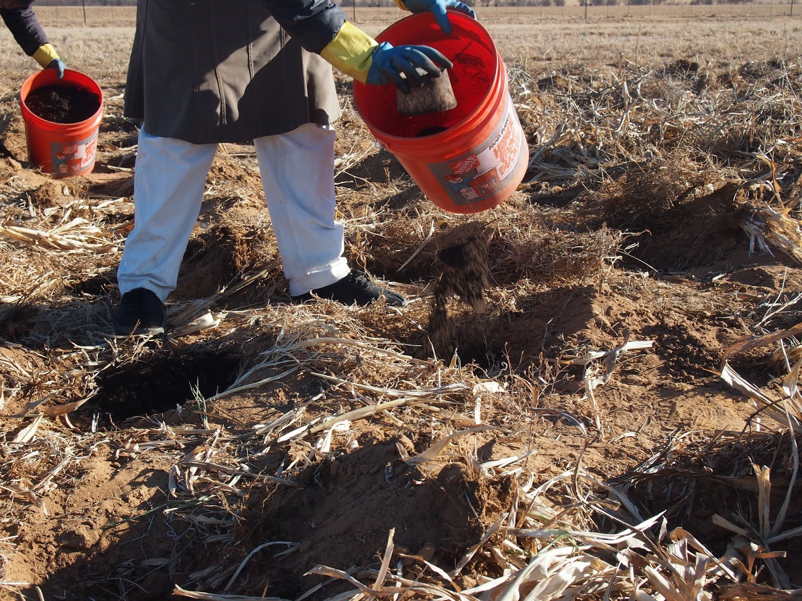 Zai: Reversing Desertification