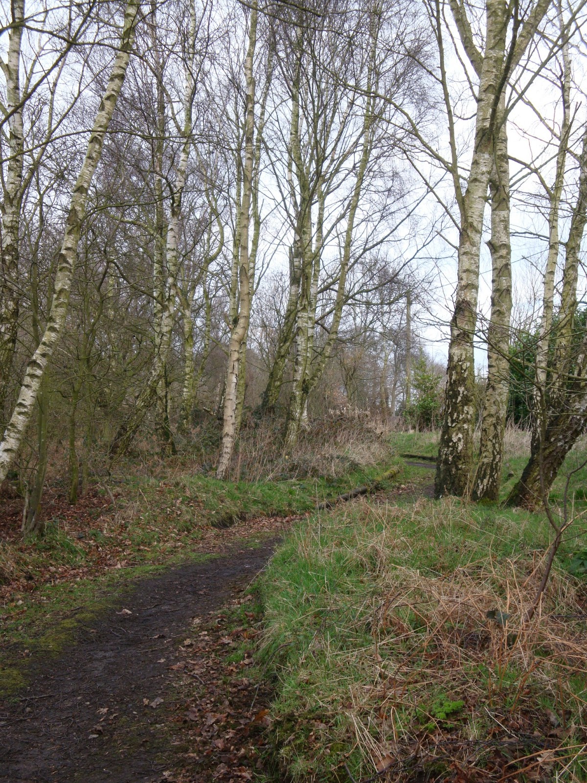 Maghull Meanders: Pex Hill Observatory, Cronton