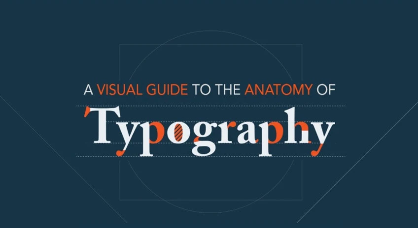 A Visual Guide to the Anatomy of Typography - #Infographic