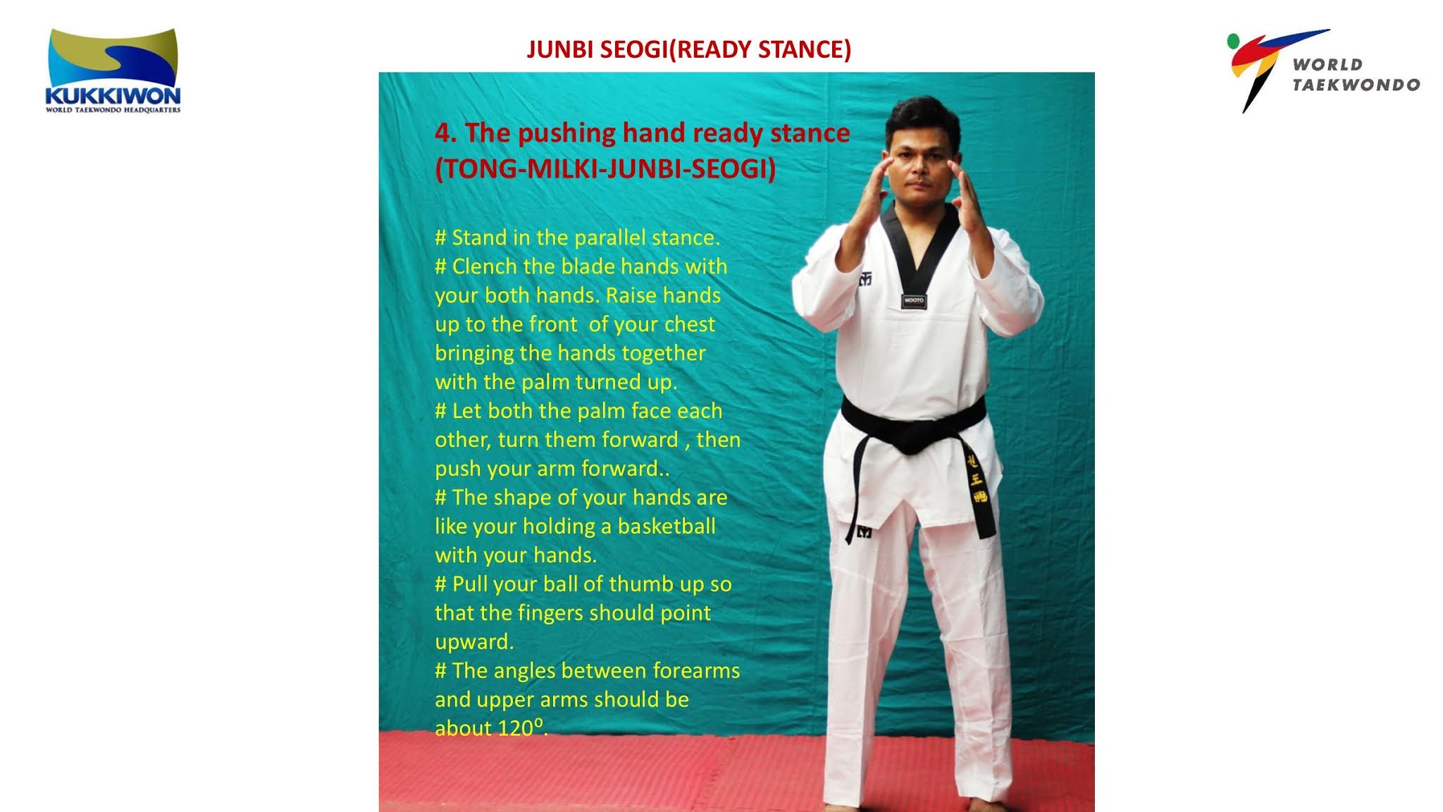 International Martial art Academy-Nepal (IMAN): Taekwonddo Jumbi Seogi