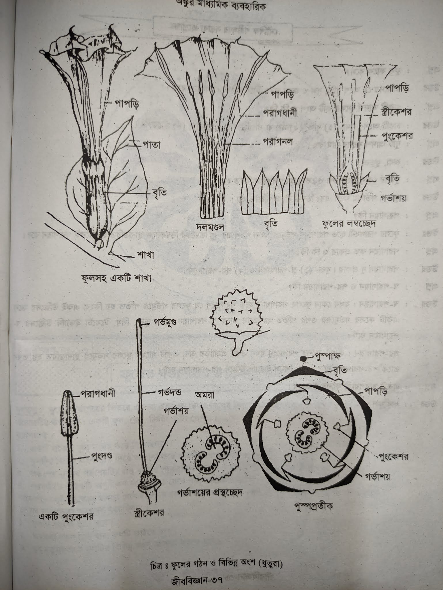 SSC Biology Practical 2021| SSC Practical Exam - Talklines Tech