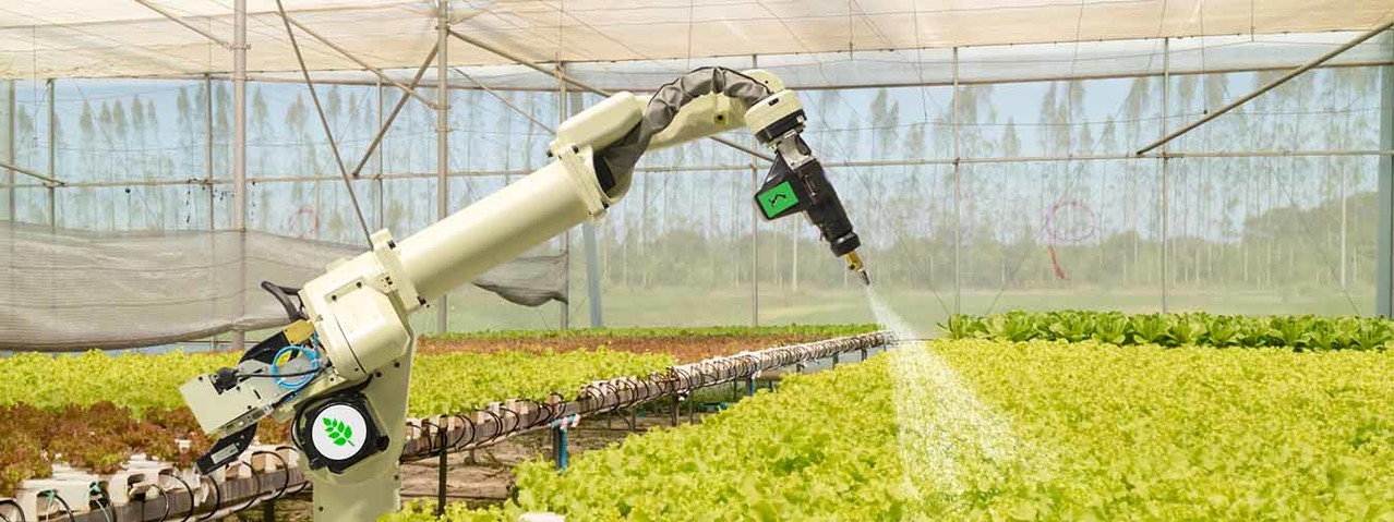 How AI Can Help In Agriculture — Applications and Use Cases