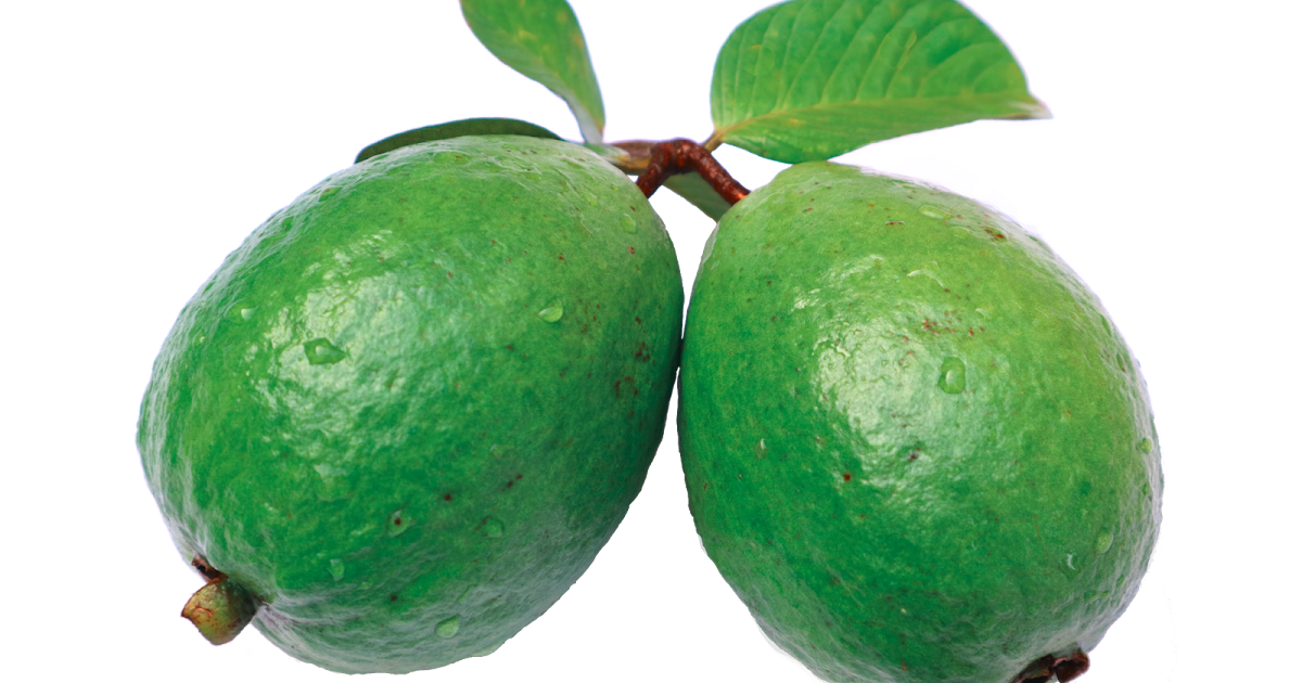 jambu3.png