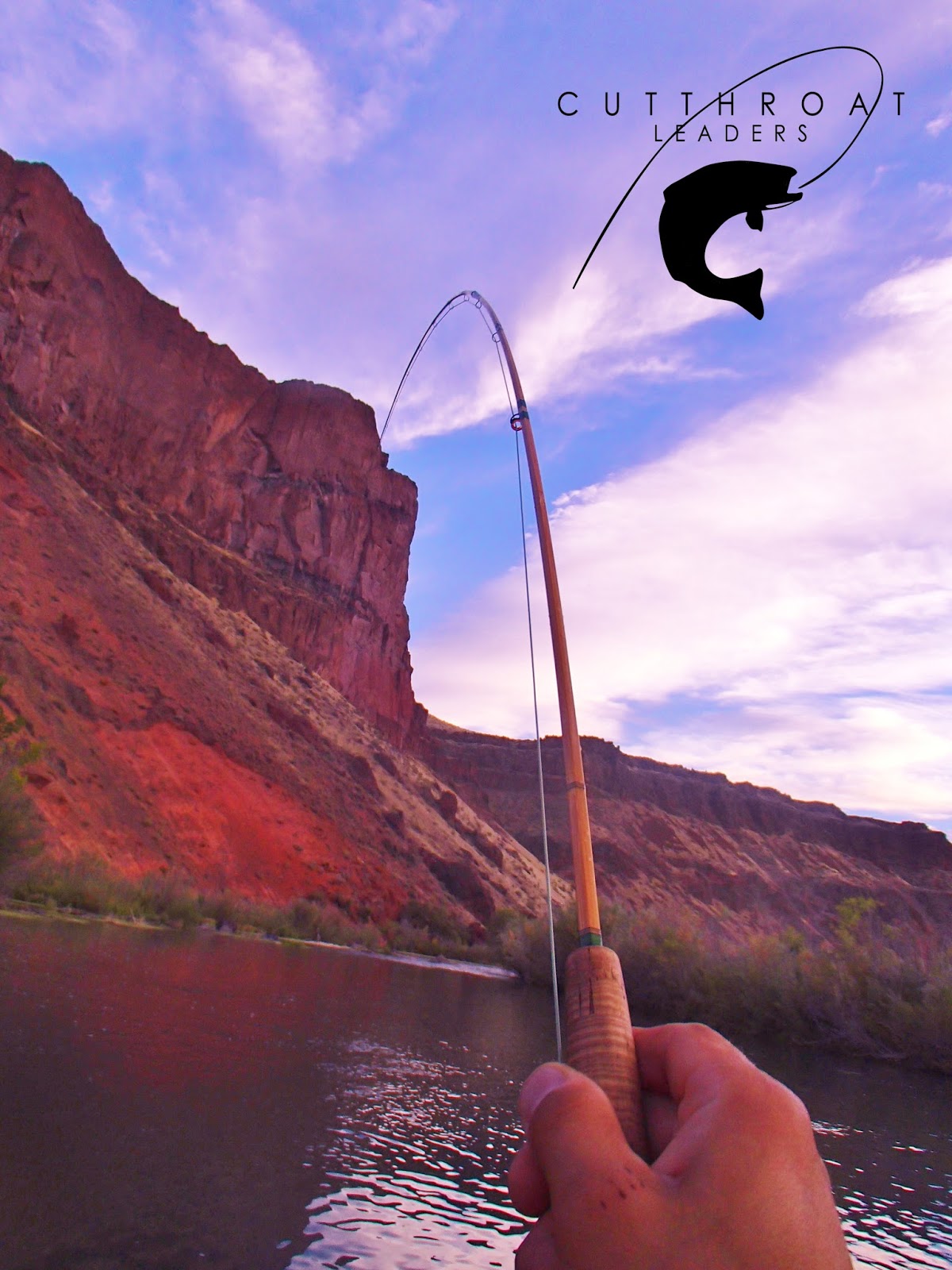 CutThroat Furled Leaders: Trico Hatch, fishing for Big Browns on small ...