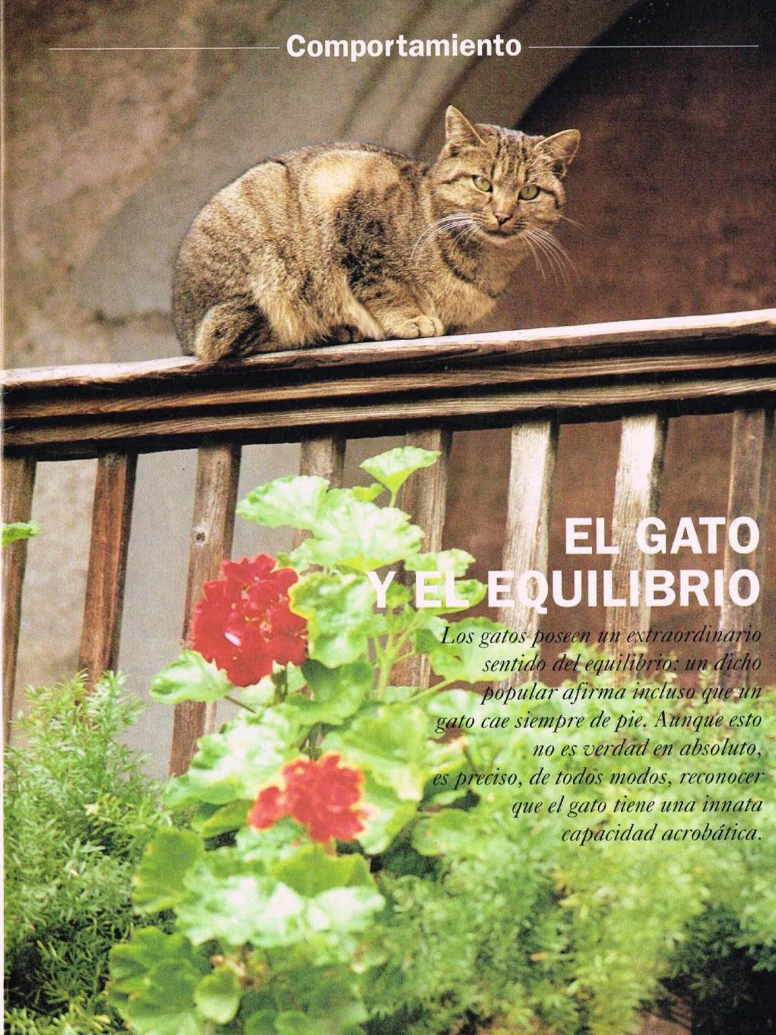 PERROS Y GATOS FAMOSOS: ENCICLOPEDIA EL GATO II SEGUNDA PARTE