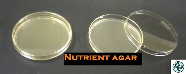 Nutrient Agar: Composition, Preparation and Uses - MyCulturemedia
