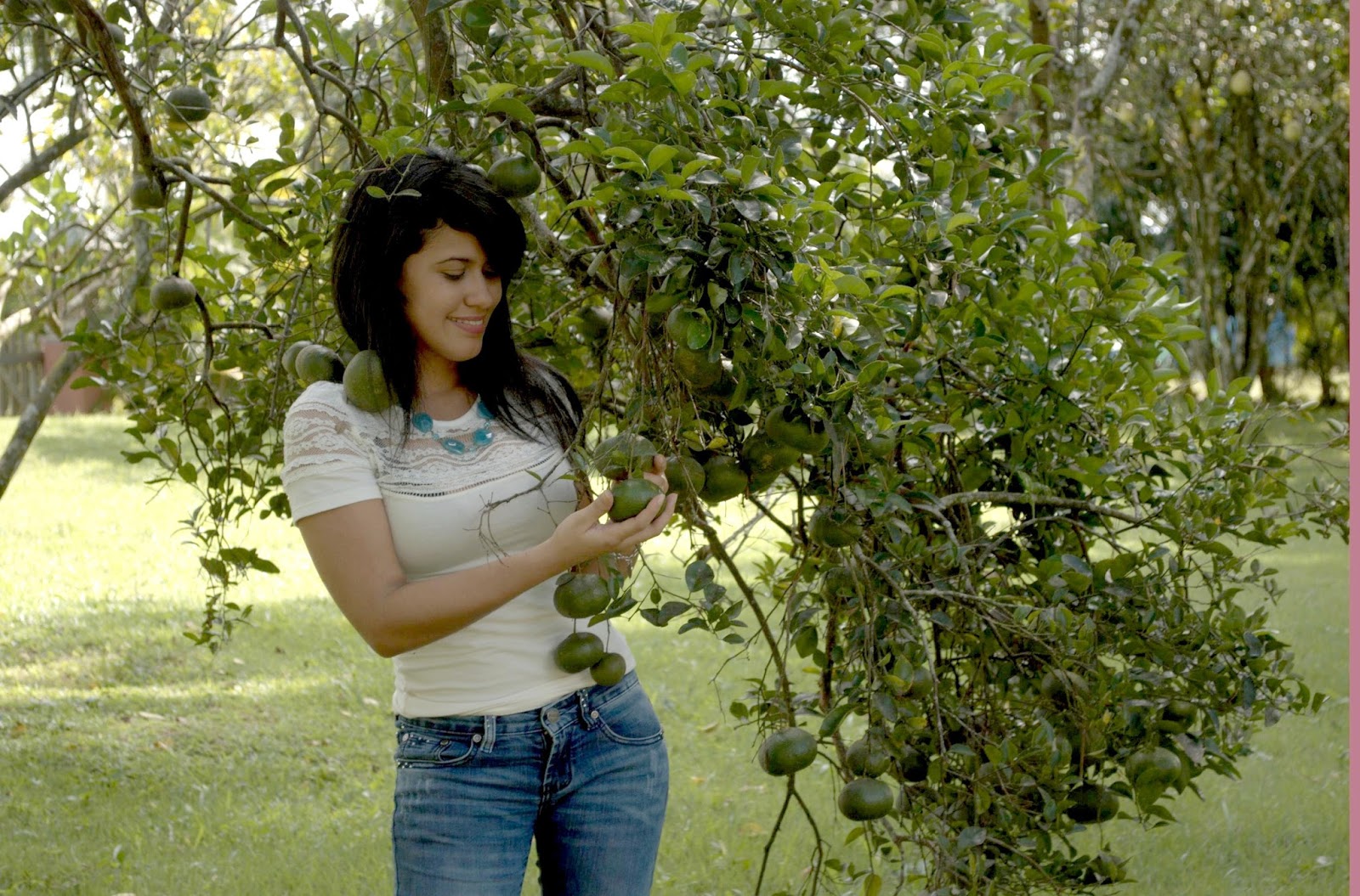 Conociendo mi país, República Dominicana: Estancia La Cuaba Santo ...