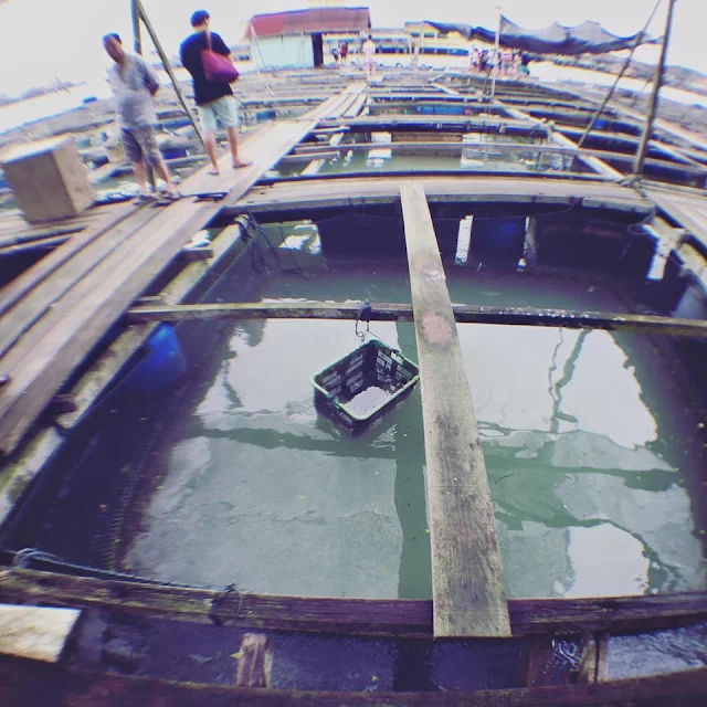 Kukup Food Guide! - { F O O D W A N D E R E R S }