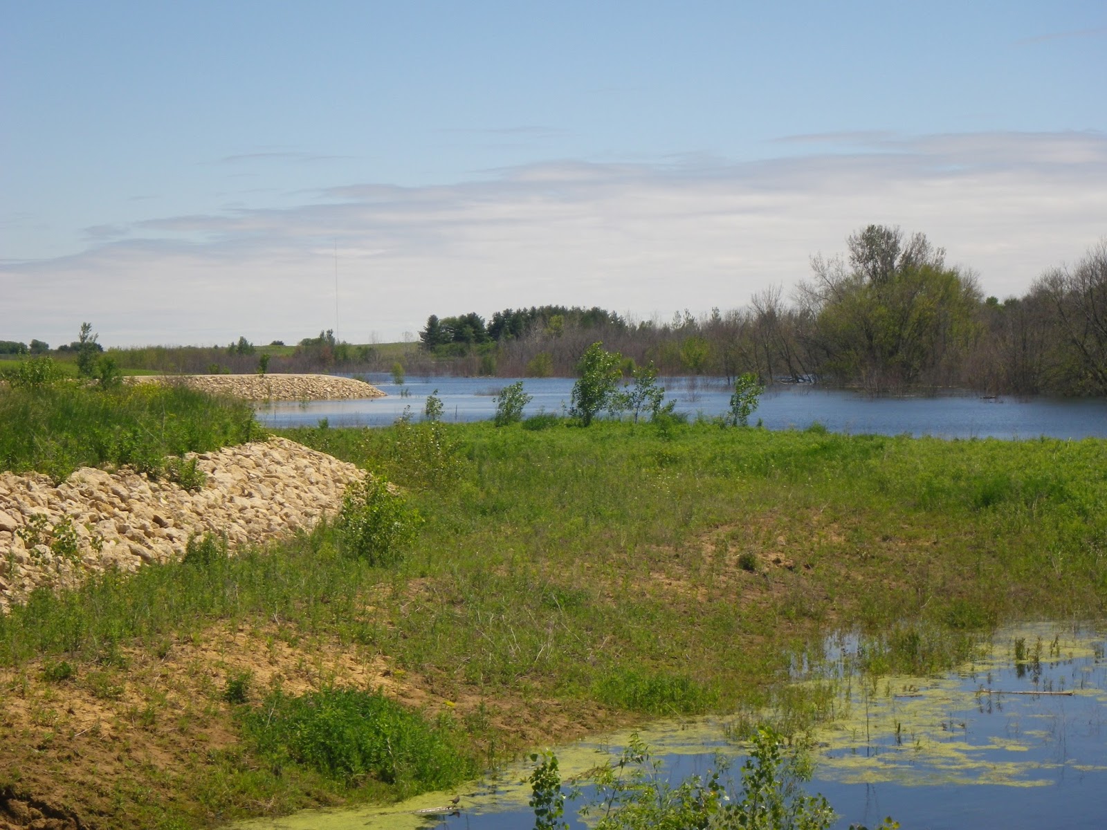 The Lost Grove Lake Mapping Project: It's Getting Closer To Full