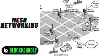 mesh networking- explained - Black keyhole