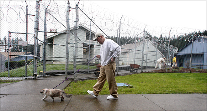 A Gent in Training: Cats, Convicts, Darkness, and Light