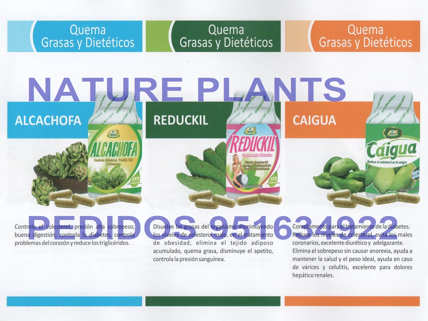 MAS NATURAL CATALOGO CAPSULAS