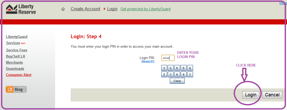 SAFE HANDS ON INTERNET: LIBERTY RESERVE