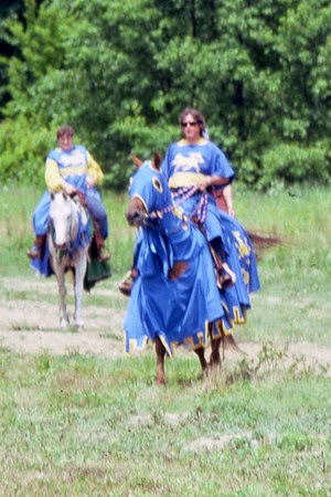 Weiner-Gozen's Blog Page: Display of Barding Styles - Introduction and ...