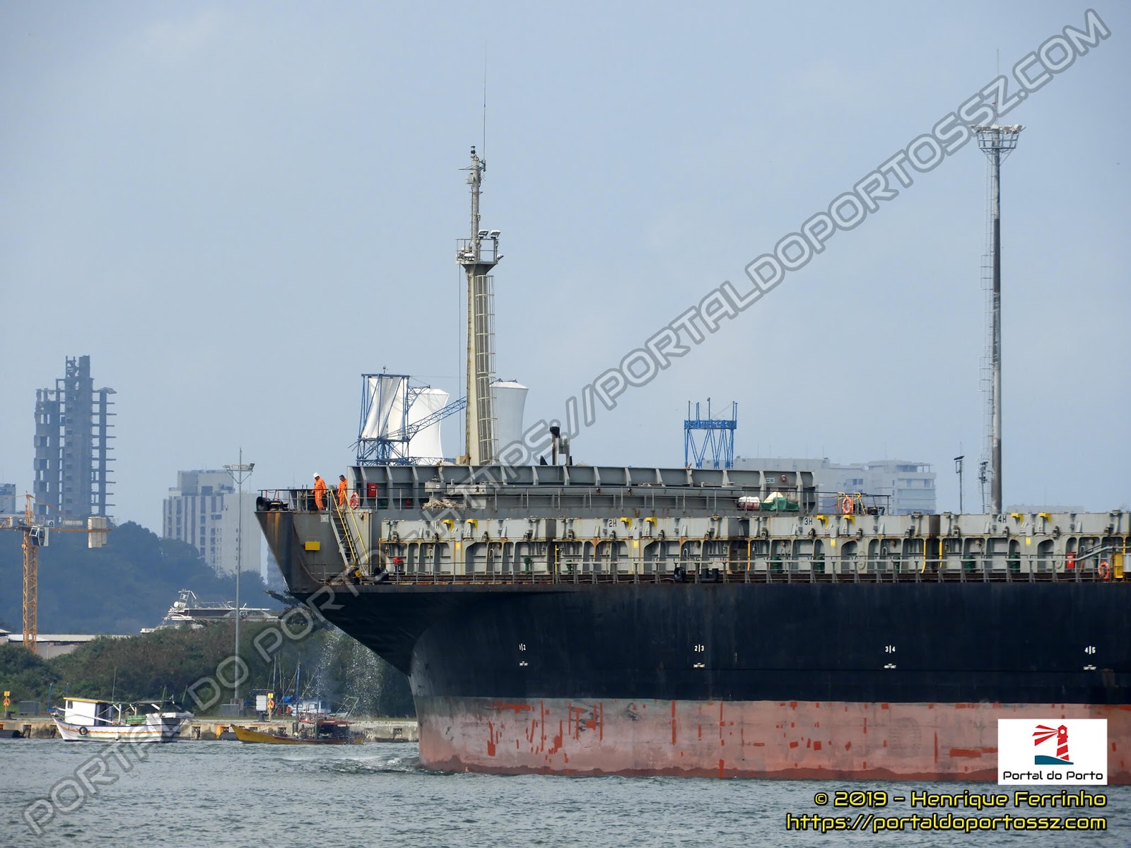Jacamar Arrow - Portal do Porto