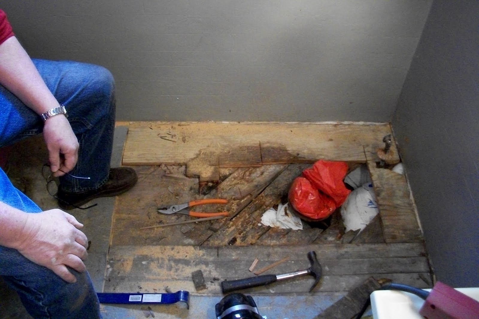 A Small House and a Large Garden: Tale of Toilet Triumph