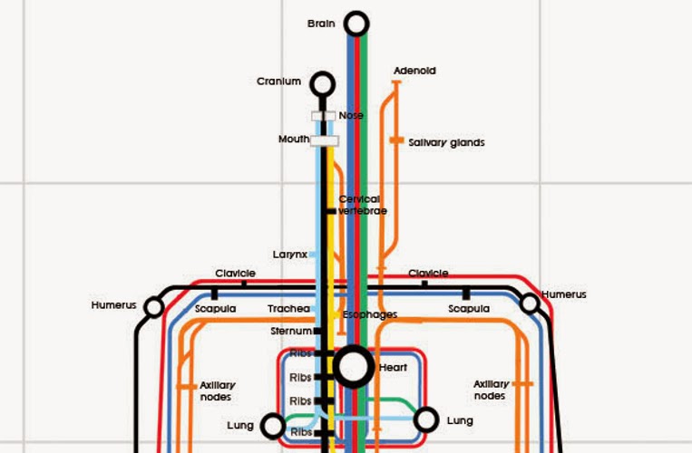 Design Stack: A Blog about Art, Design and Architecture: Human Body ...