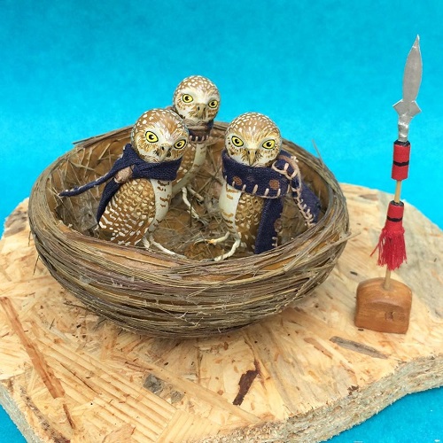 My Owl Barn: Wildlife Artist and a Conservationist Niharika Rajput