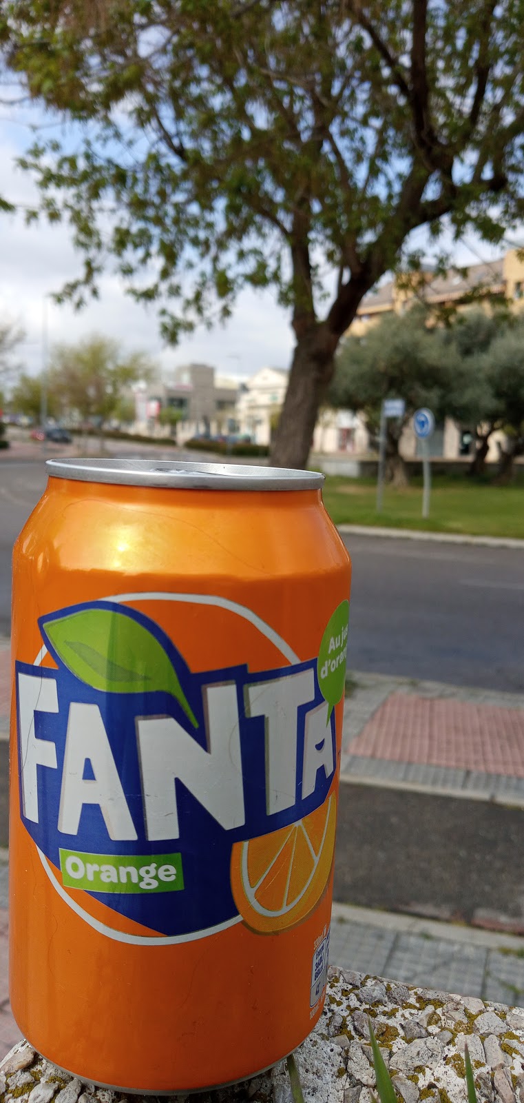 Fanta en un Mundo Fantástico: Las larvas Amarillo y Rojo han venido a ...
