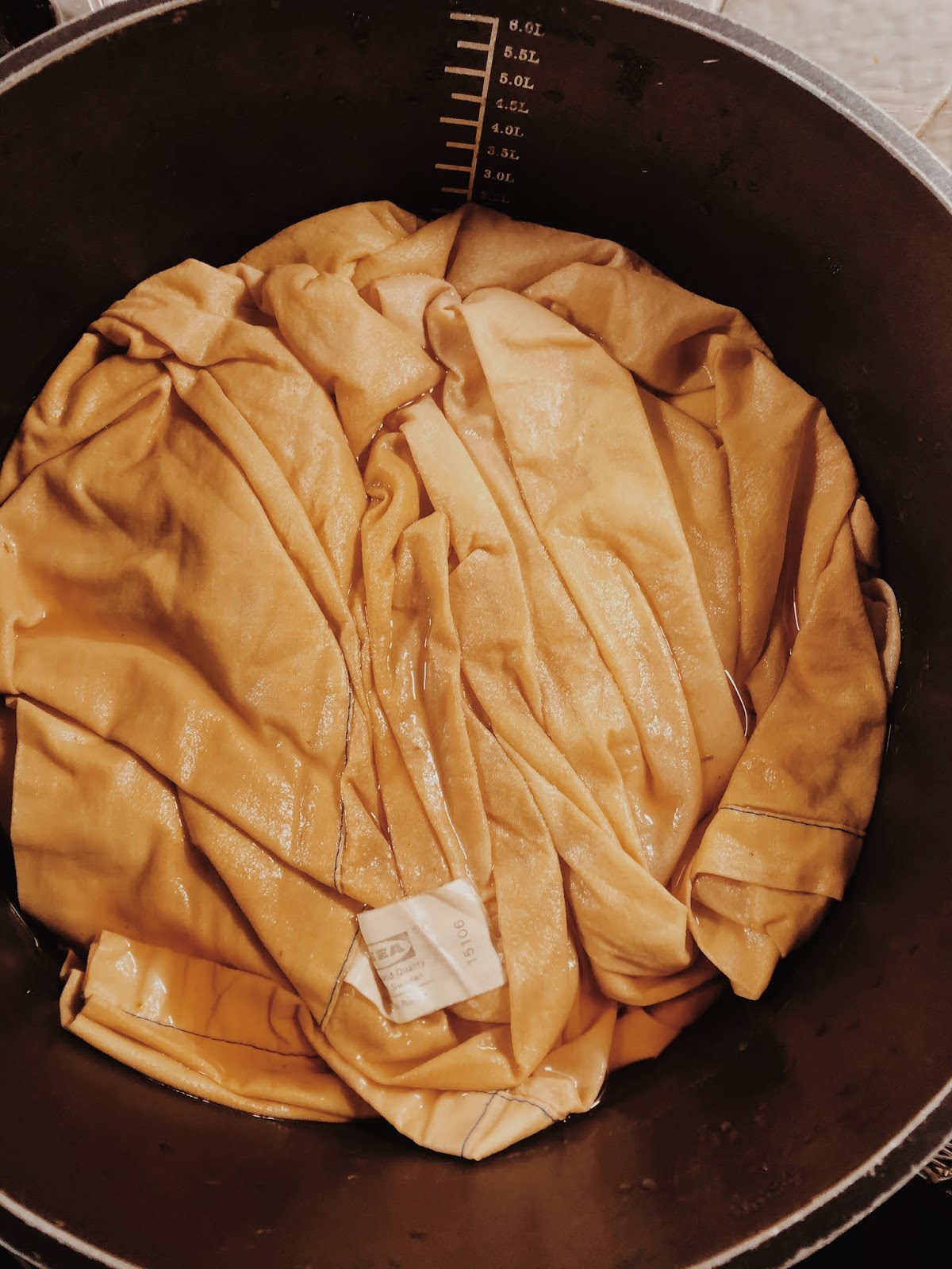 :Kreativität und Lernen: Stoff färben mit Naturmaterial