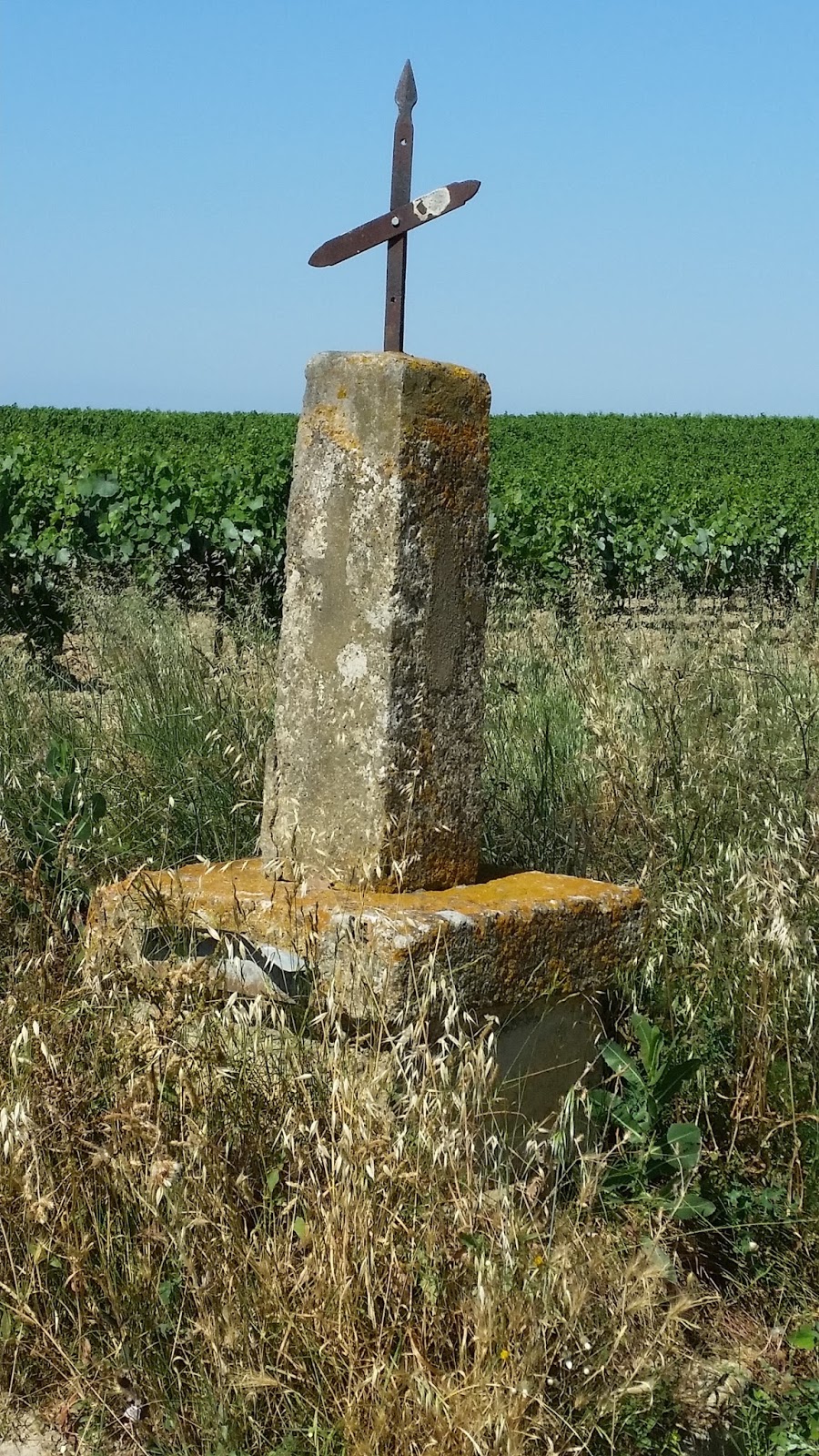 Trisha Ray - Log of a Travel Artist