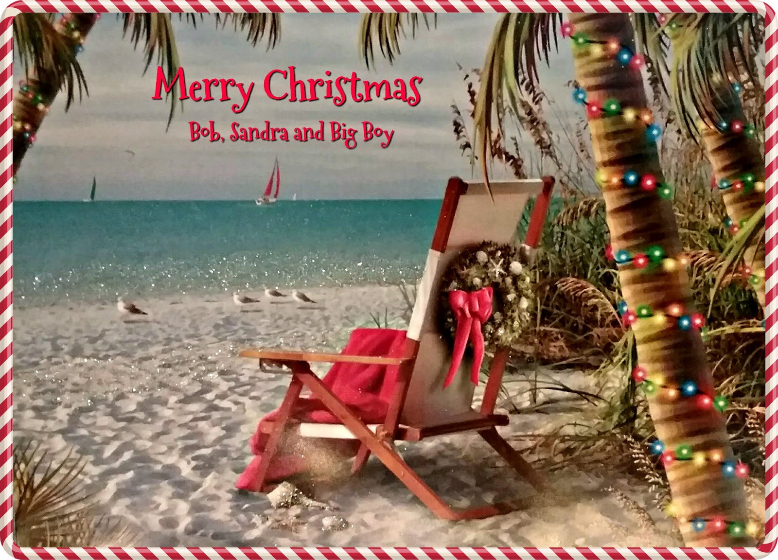 MadSnapper: Merry Christmas