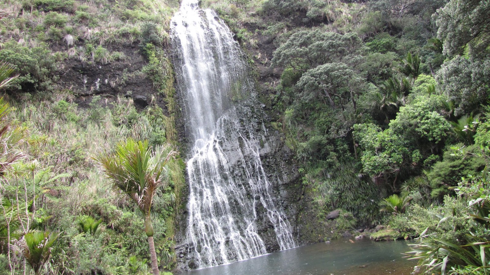 Explore and Discover Nature: Exploring Patterns in Nature - finding ...