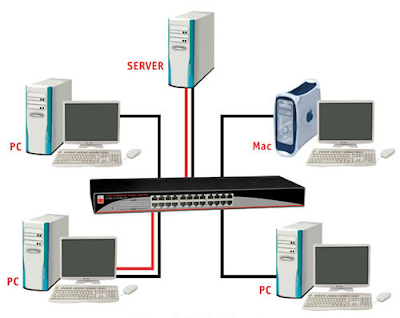 Pengertian Jenis, Fungsi, Cara Kerja Switch Beserta kelebihan dan ...