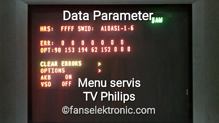Data Parameter Menu Servis TV Philips 29T6021