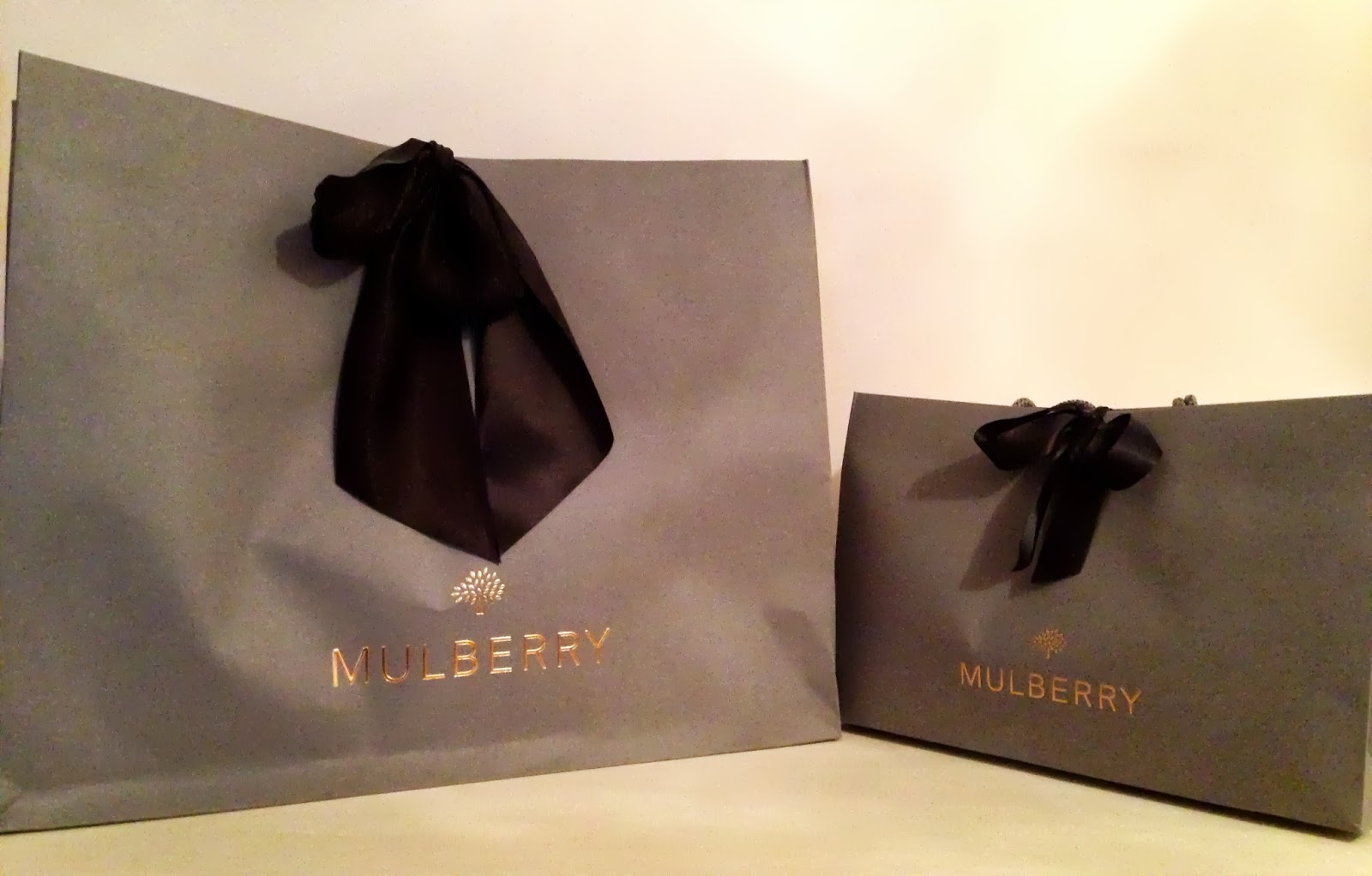 Newest Mulberry additions - Midsize Steph
