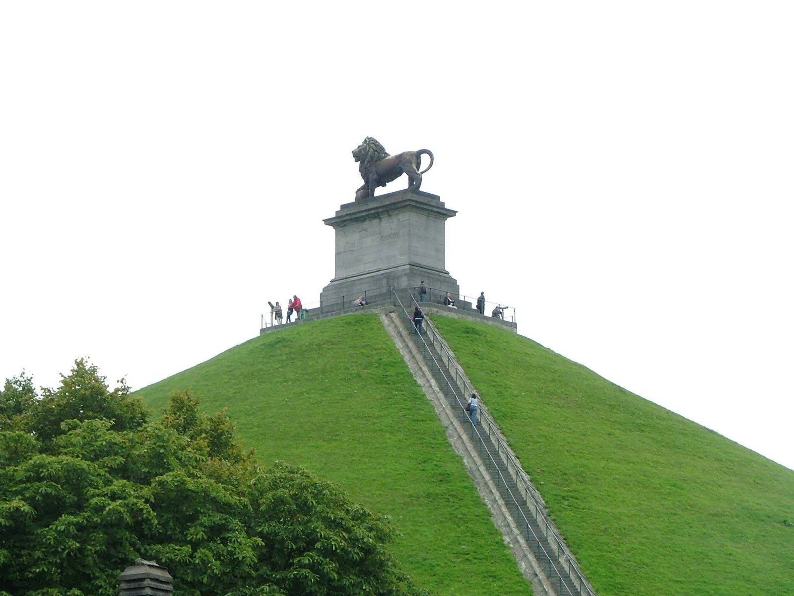 HEATHS IN EUROPE: BELGIUM AND THE NETHERLANDS
