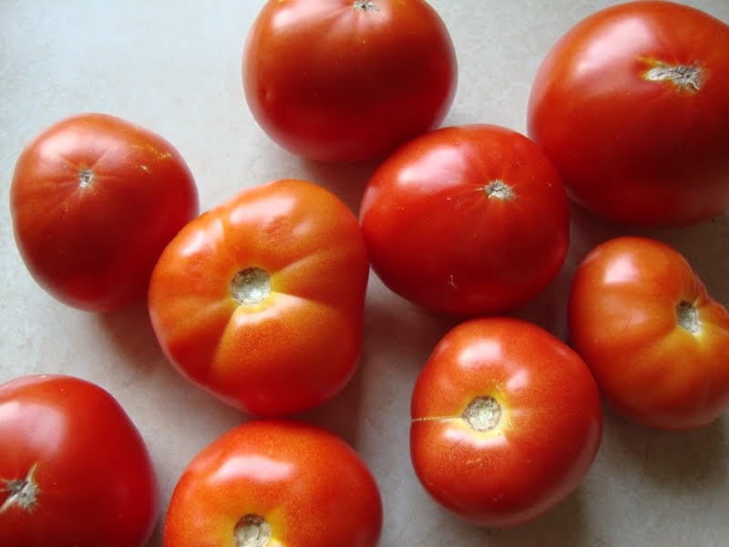 Where Plants Rule: Tomato Review