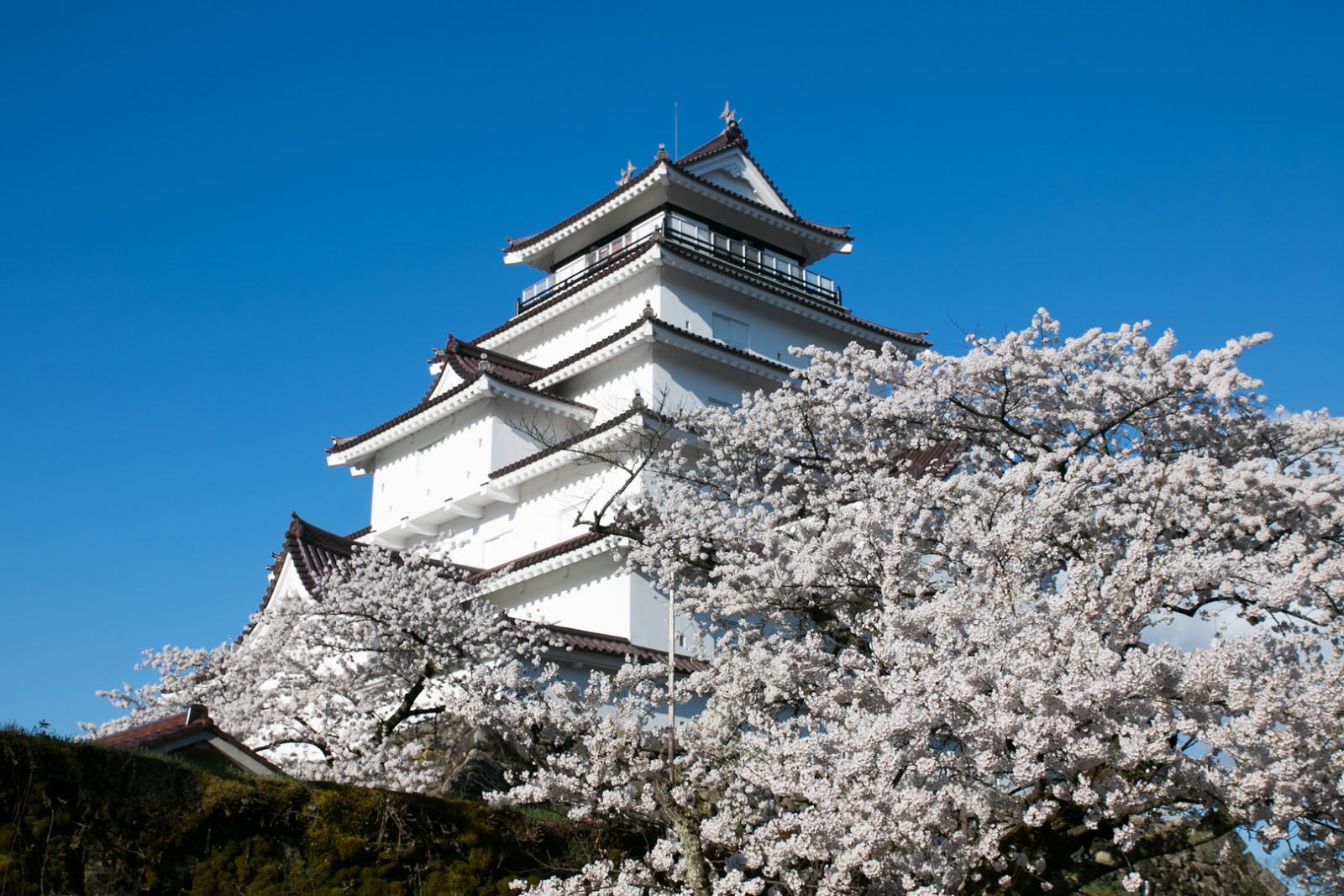 Aizu Wakamatsu Castle -White five-story main tower endured harsh battle ...