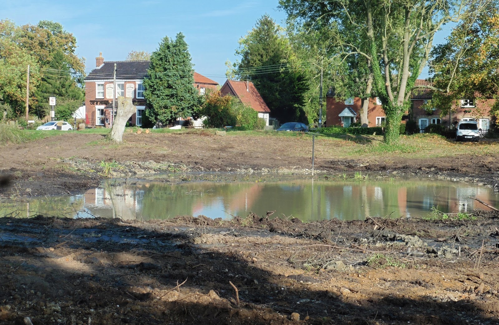 Old Buckenham blog: Regrowing in Old Buckenham