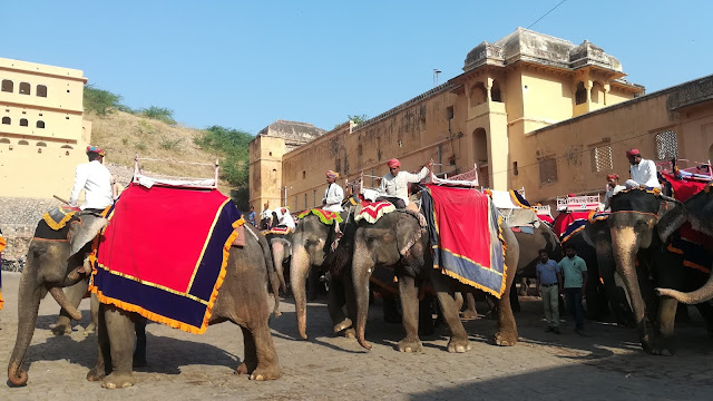 13 dias na Índia - Jaipur, a cidade cor-de-rosa