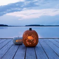 Something wicKED this way comes....: Pumpkins on Vacation.
