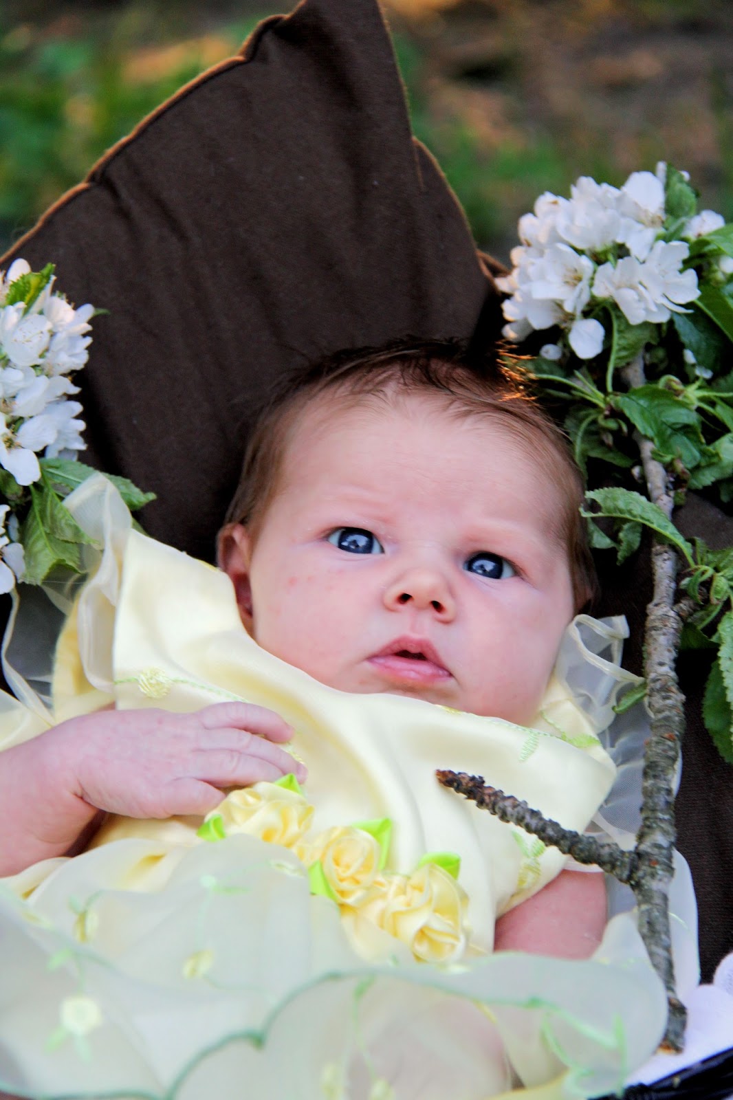 -: Sarah, Craig and Baby Bently