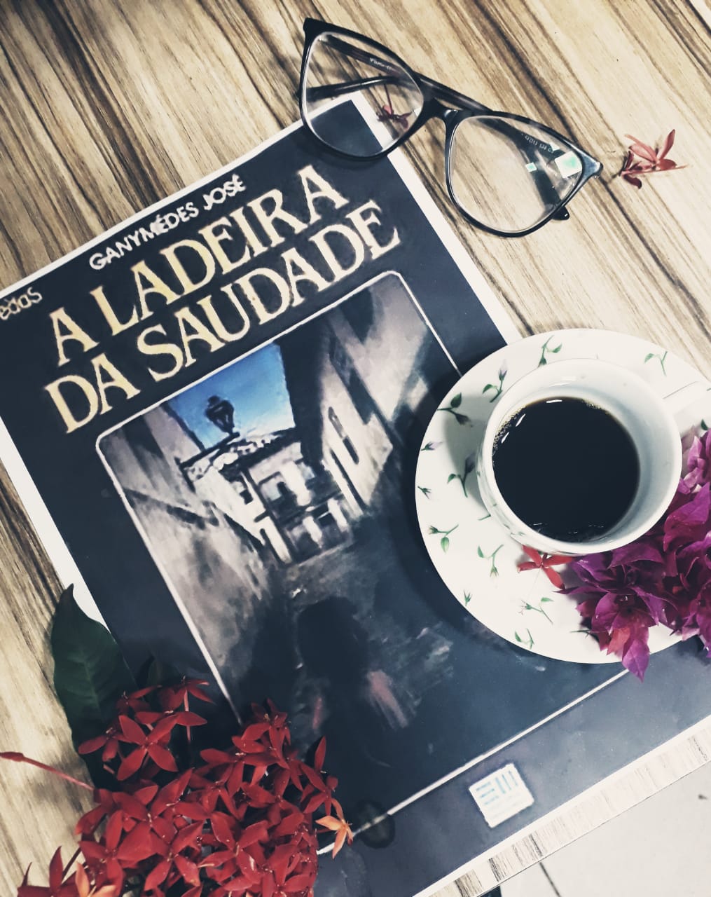Faciletrando : Resenha da obra " A Ladeira da Saudade"