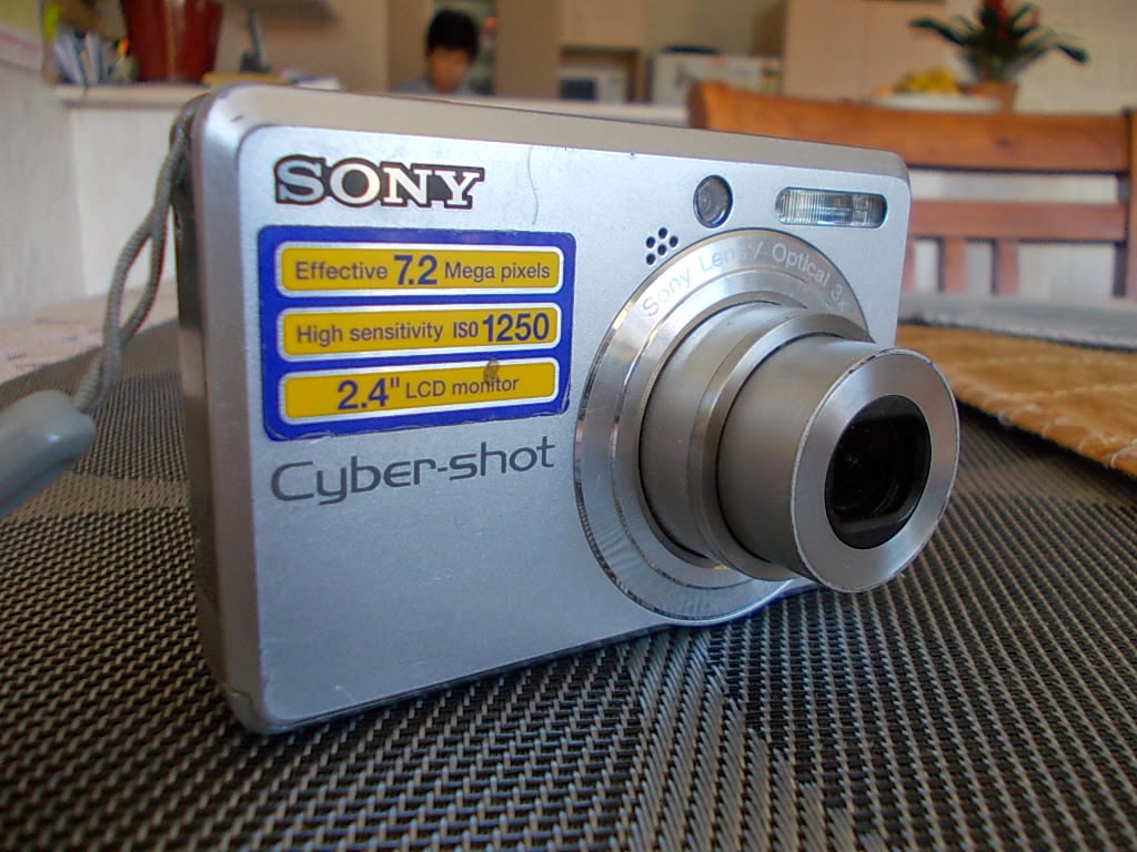 38. Exile in New Zealand: Digital cameras