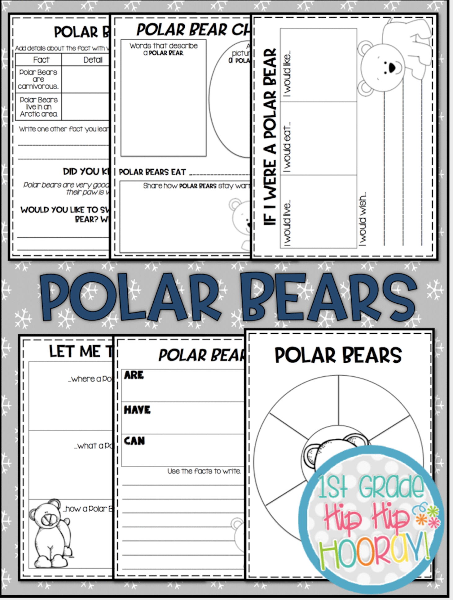 1st Grade Hip Hip Hooray!: Let's Discover Polar Bears!