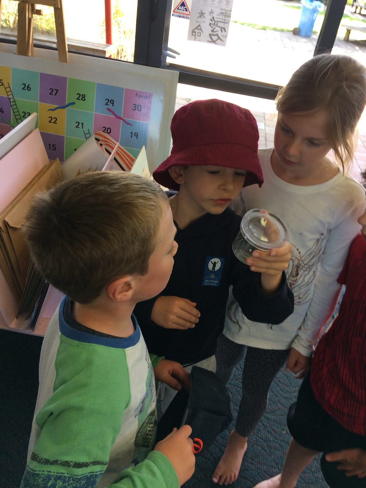 'ACE' - Allen Centre Explorers: Term one in the Allen Centre!