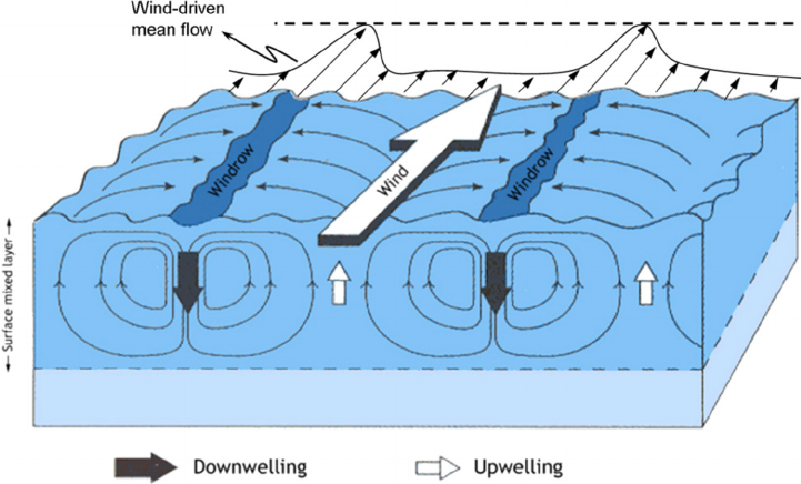 natural connections: Langmuir's Wind Lines