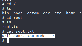 TryHackMe - Simple CTF Room
