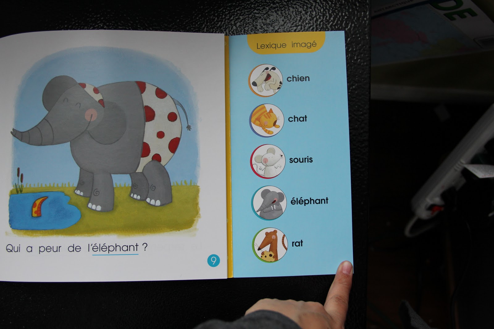 Programmes Scolaires: Les mini rats de bibliothèque