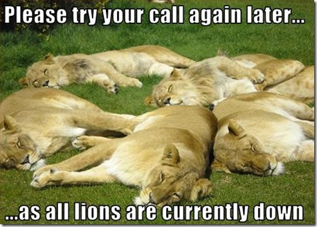 Funny Animals: Funny Lion Pictures/Images, Lion
