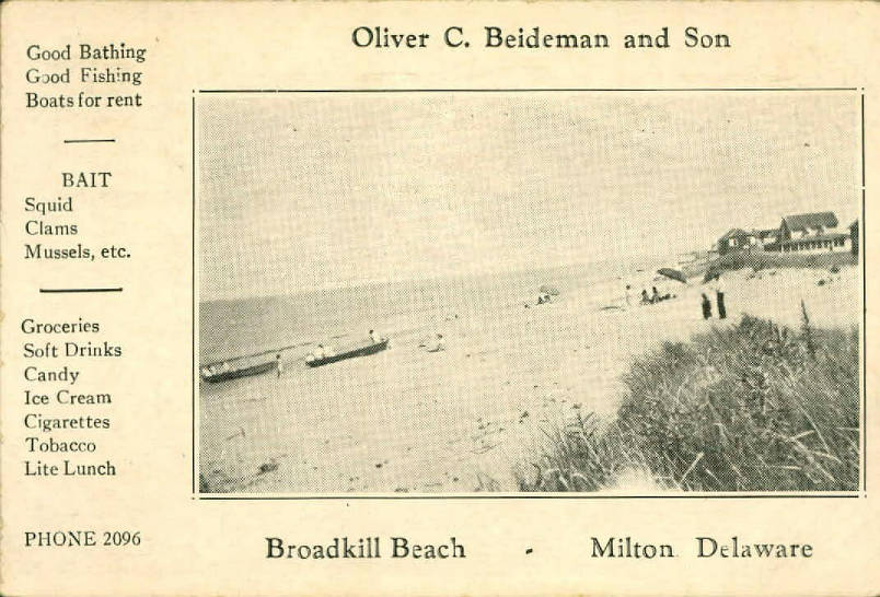 Broadkill Beach: Using Dunes to Save This Stretch of the Delaware Bay ...