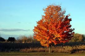 On My Mind: DOODLE DAY MAY - Day 8