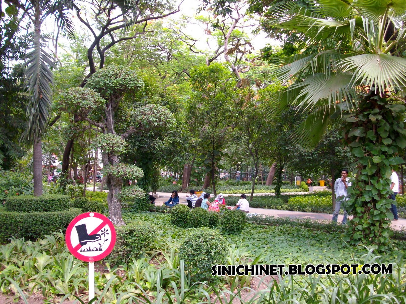 Taman Flora (Kebun Bibit) Bratang Surabaya | SINICHINET