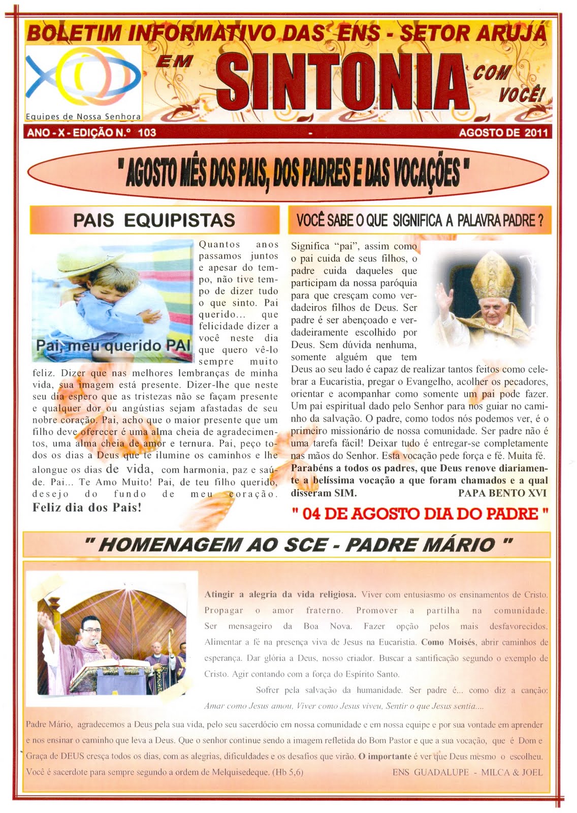 ENS - SETOR ARUJÁ - REGIÃO SP SUL 1: agosto 2011